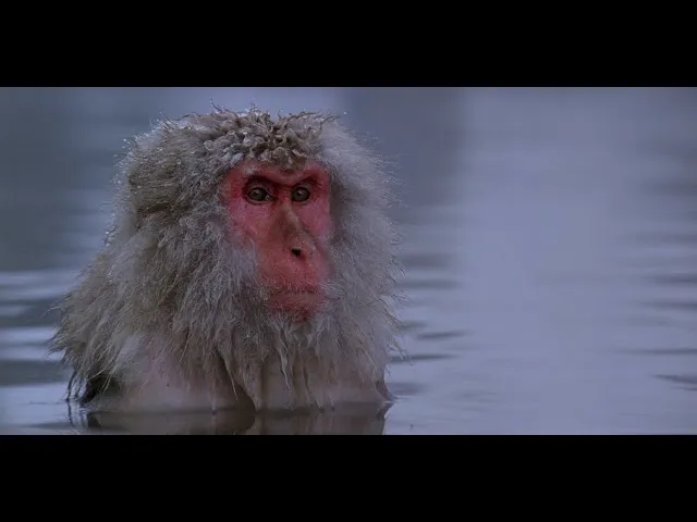 Howard Gray - Adventures in the future of learning and creative careers